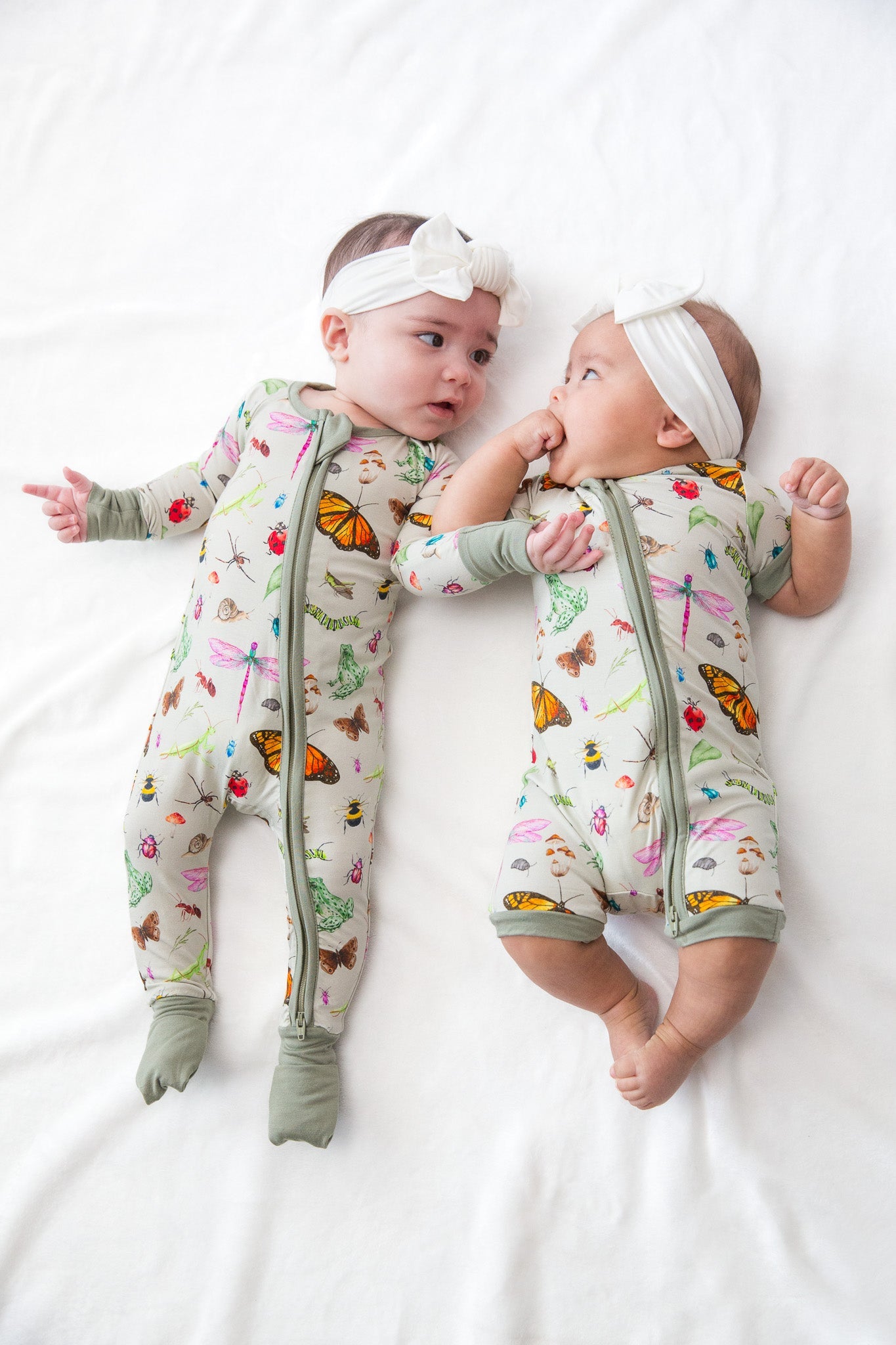 New Arrivals – Buzz & Blossom